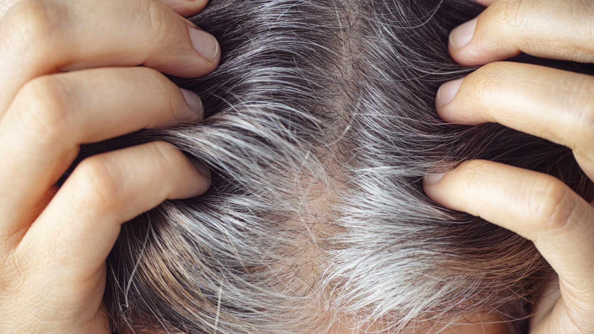 Verwunderlich Graue Haare Mit Strhnen Ebenbild